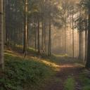 Discord servers tagged with osdd | DISBOARD