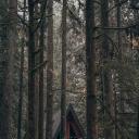 moist cottage🌲🍂🥀 | DISBOARD: Discord Server List