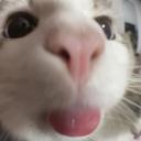 the lemon tree Discord Server | Discord Home