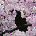 Join 𝖳𝗁𝖾 𝖲𝖺𝗅𝗎𝖻𝗋𝗂𝗈𝗎𝗌 𝖴𝗍𝗈𝗉𝗂𝖺 •18+ | Discords.com