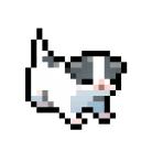 Discord servers tagged with clangen | DISBOARD