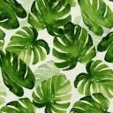 Leaf 🌿 | DISBOARD: Discord Server List