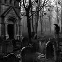 ⊰𝓖𝓻𝓪𝓿𝓮𝔂𝓪𝓻𝓭⊱ | DISBOARD: Discord Server List