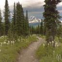 Discord servers tagged with berry-avenue | DISBOARD