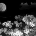 Silhouette | Discord Server