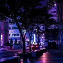 🌙 ;; Periwinkle City | DISBOARD: Discord Server List