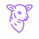 🟡 Trouble with BAML GPT-5.4 in thinking mode and asynchronous job ...