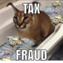 Floppa Reborn - Discord Server