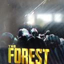 The Forest | DISBOARD: Discord Server List