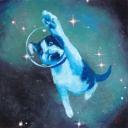 ˗ˏˋ astro kitties ´ˎ˗ (sapphic) | DISBOARD: Discord Server List