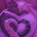 Join Infinite Hope | Discords.com