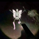 Join the wildest monkeys🤡🤡🤡 | Discords.com