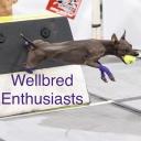 Discord servers tagged with dogs | DISBOARD