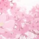 Pink Lemonade | DISBOARD: Discord Server List