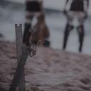 𝘢𝘰𝘵; 𝘸𝘢𝘭𝘭𝘴 𝘢𝘯𝘥 𝘸𝘢𝘳𝘳𝘪𝘰𝘳𝘴 | DISBOARD: Discord Server List