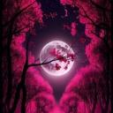 Erp gathering♡ ♧ | DISBOARD: Discord Server List