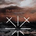 The Wild Waters- Roleplay | DISBOARD: Discord Server List