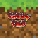 Salty SMP [BEDROCK] | DISBOARD: Discord Server List