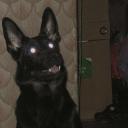 Discord servers tagged with homestuck | DISBOARD