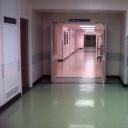 Cardinal Mental Asylum | DISBOARD: Discord Server List