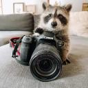 Discord servers tagged with blacked | DISBOARD