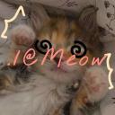 ./@Meow ᗢ • cats • emotes • | DISBOARD: Discord Server List