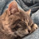 Sleeping Noise | DISBOARD: Discord Server List