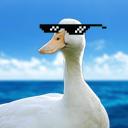 𝙏𝙝𝙚 𝙍𝙚𝙖𝙡𝙢 𝙊𝙛 𝙏𝙝𝙚 𝘿𝙪𝙘𝙠𝙨 | DISBOARD: Discord Server List