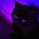 Discord Date Servers | Discord Home