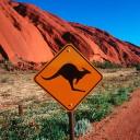 The Goobers of Oz | DISBOARD: Discord Server List