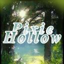 𝐏𝐢𝐱𝐢𝐞 𝐇𝐨𝐥𝐥𝐨𝐰 | DISBOARD: Discord 서버 게시판