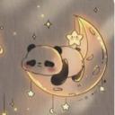 Panda Palace | DISBOARD: Discord Server List