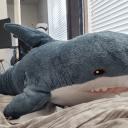 Stuffed Sharks | DISBOARD: Discord Server List