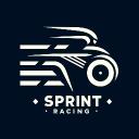 Sprint Racing League | DISBOARD: Discord Server List