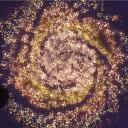 JoynCraft Modded | DISBOARD: Discord Server List