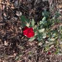 Discord servers tagged with shitpost | DISBOARD