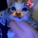 Discord servers tagged with meow | DISBOARD