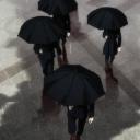 kyupid .ᐟ | DISBOARD: Discord Server List