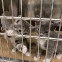 Discord servers tagged with edate | DISBOARD