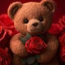 Teddy Rose || Safe Space | DISBOARD: Discord Server List