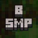 B SMP | DISBOARD: Discord Server List