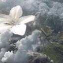 Discord servers tagged with after-effects | DISBOARD