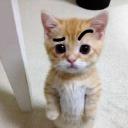 Discord servers tagged with funny | DISBOARD