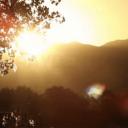 Discord servers tagged with pine-ridge | DISBOARD