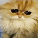 Discord servers tagged with metal | DISBOARD