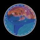 Discord servers tagged with sharks | DISBOARD