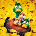 Discord servers tagged with ducks | DISBOARD