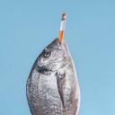 Aquarium | DISBOARD: Discord Server List