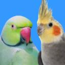 Poof & Neuf | DISBOARD: Discord Server List