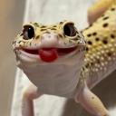 YAPPER SQUAD | DISBOARD: Discord Server List